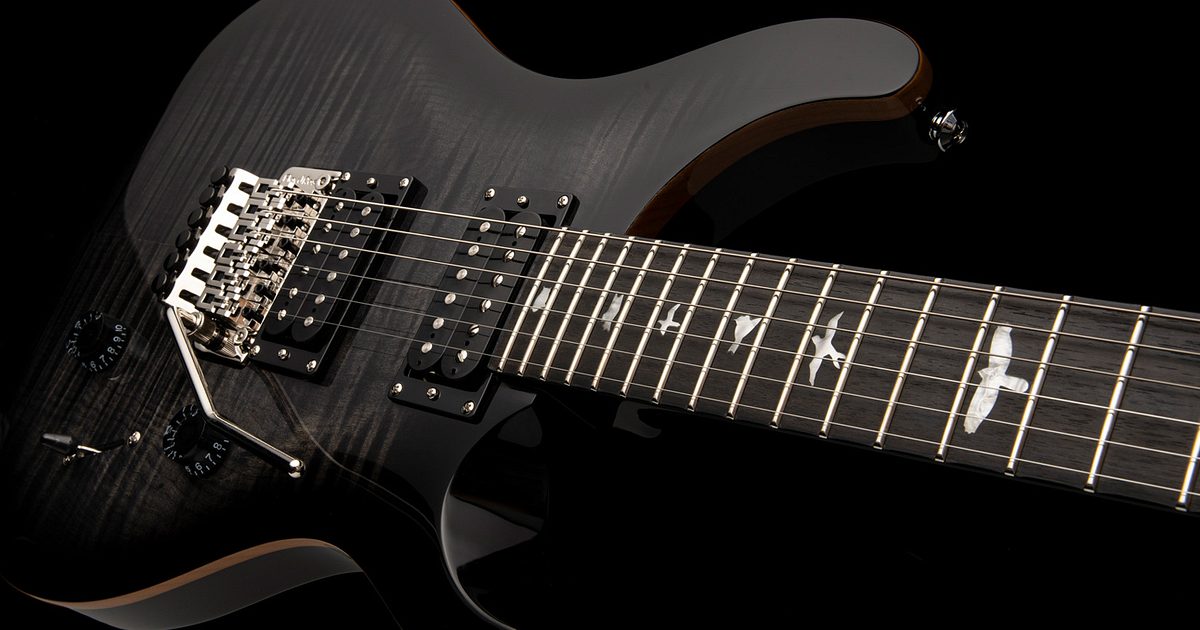 PRS Guitars | SE Custom 24 "Floyd" - 2021