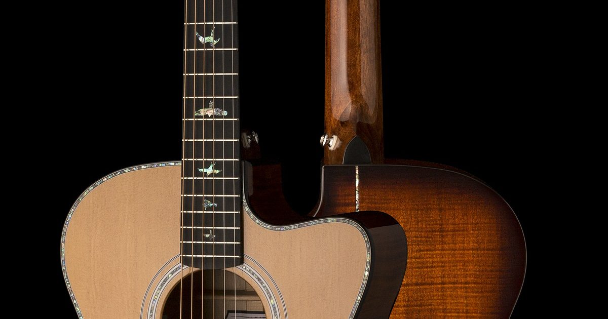 PRS Guitars | SE A50E - 2021